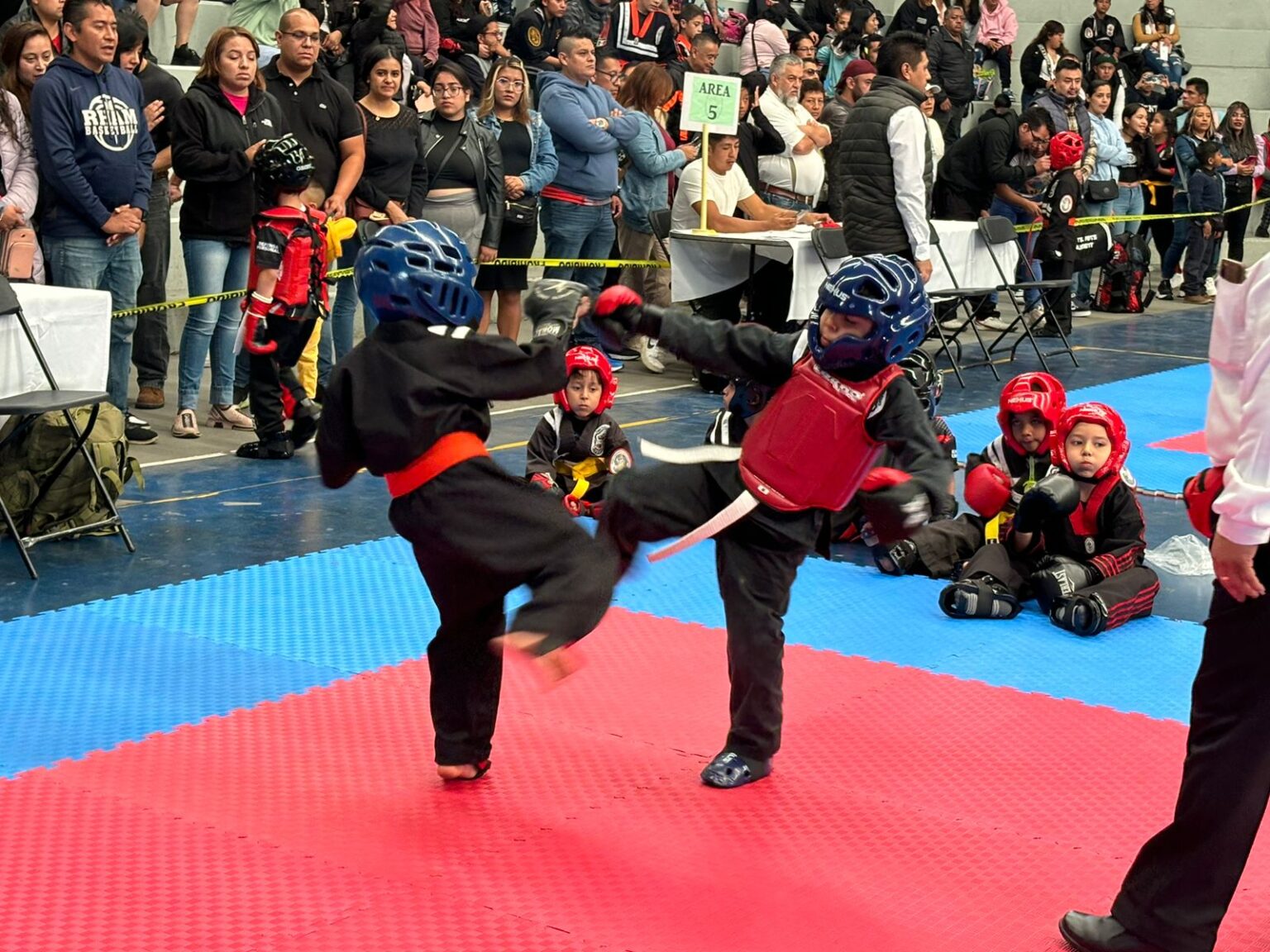 Reúne a 400 atletas Campeonato Estatal de Lima Lama en Atizapán de ...